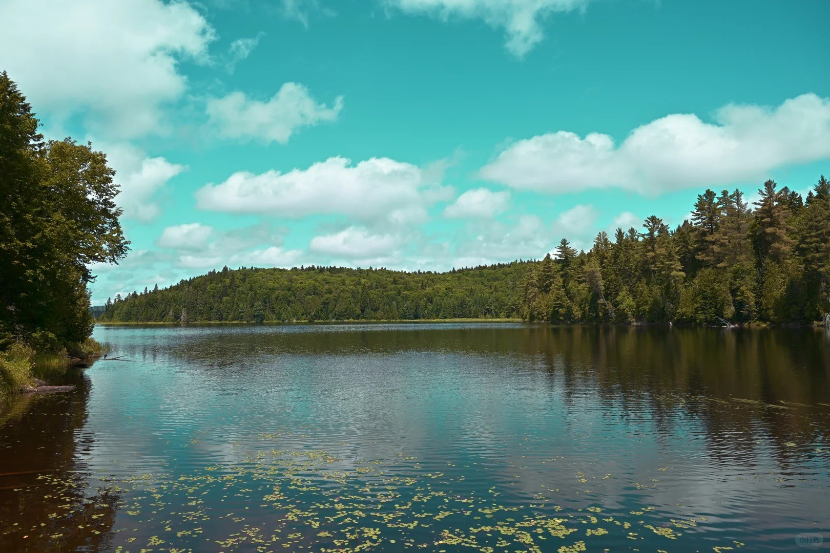 📍 Parc national de la Mauricie - A Perfect Nature Escape by Alina ...