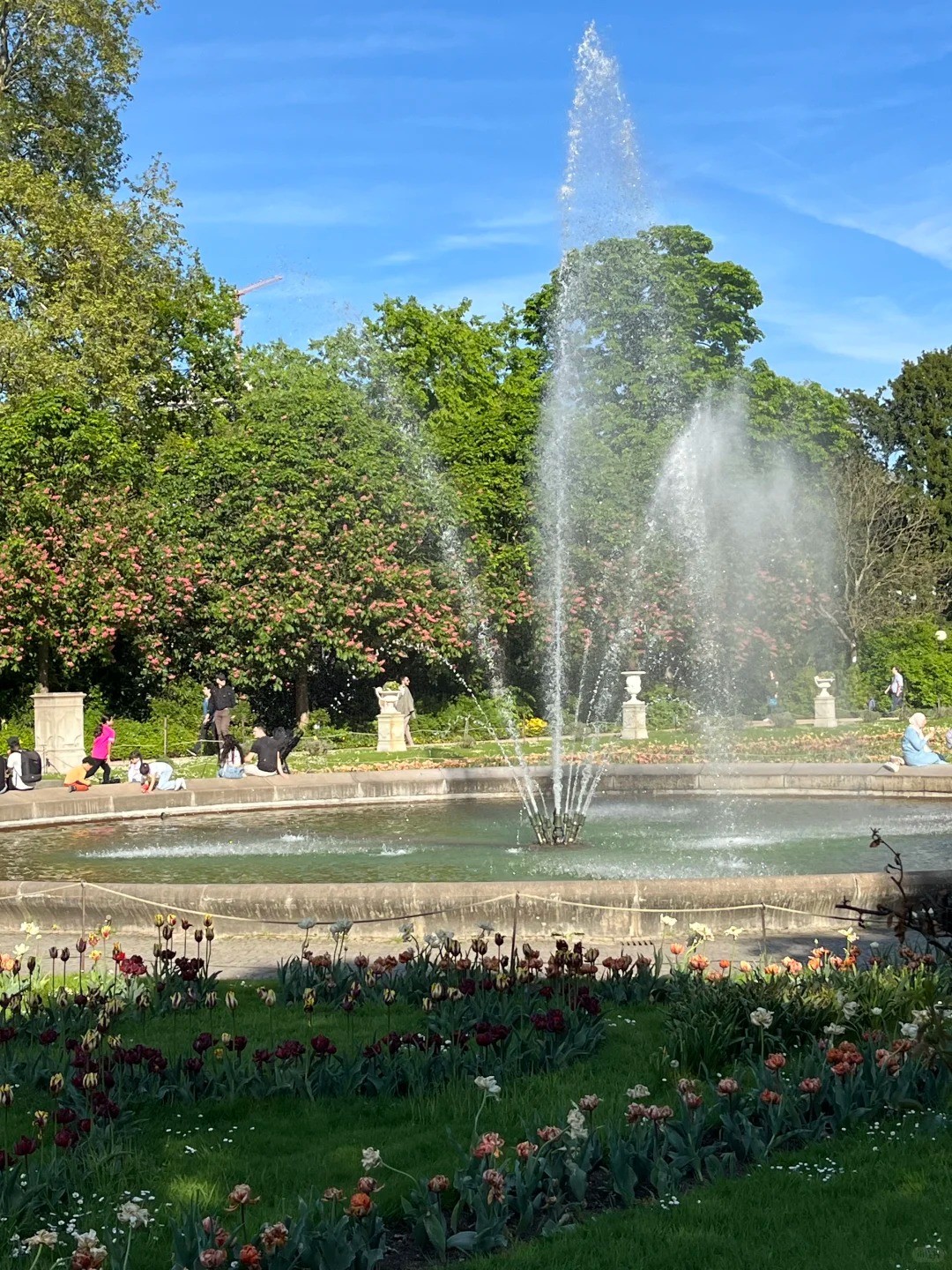 🇩🇪 Cologne’s Hidden Gem: The Free & Stunning Botanical Garden 🌳 by ...
