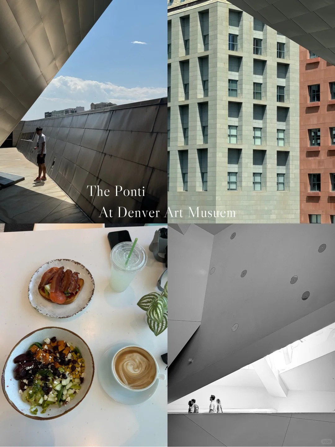 10 Must-Try Beautiful Meals in Denver by Allard Nezra | WanderBoat AI ...